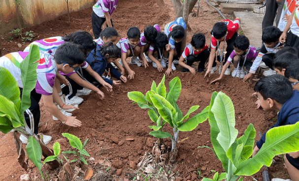 The Power of Environmental Education in International Schools
