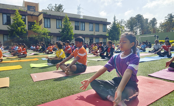 Healthy Study-Life Balance: A Student's Guide to Success